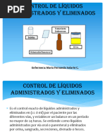 Hoja Control de Líquidos | PDF