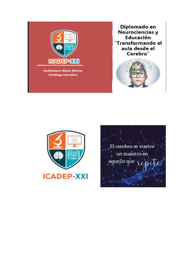 Neuroplaticidad y Funciones Ejecutivas Unidad 3 | PDF