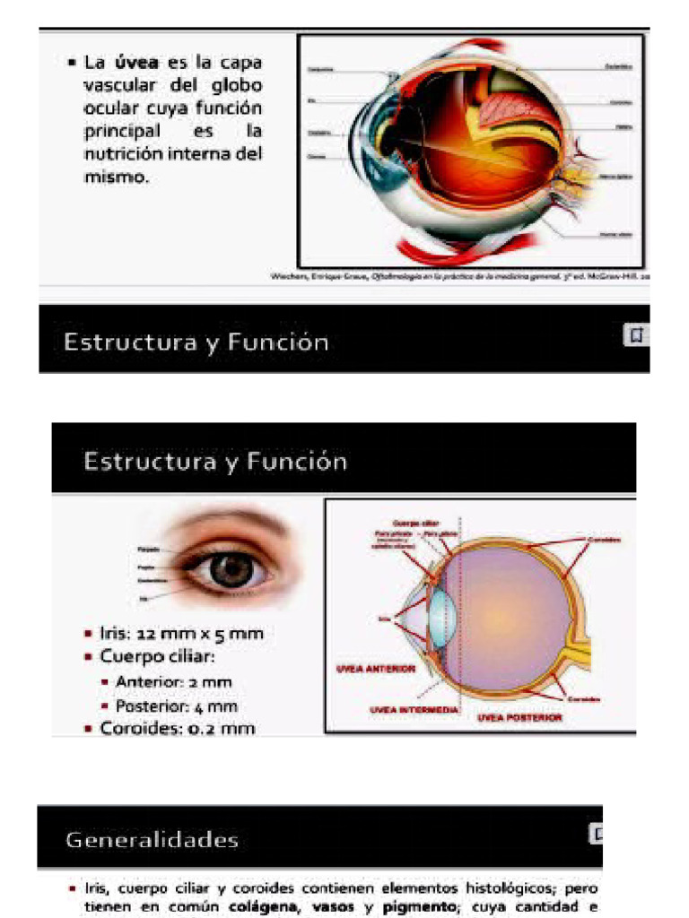 UVEITIS | PDF
