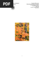 4th Grade Acadience Reading Assessment | PDF | Pickled Cucumber | Rainbow