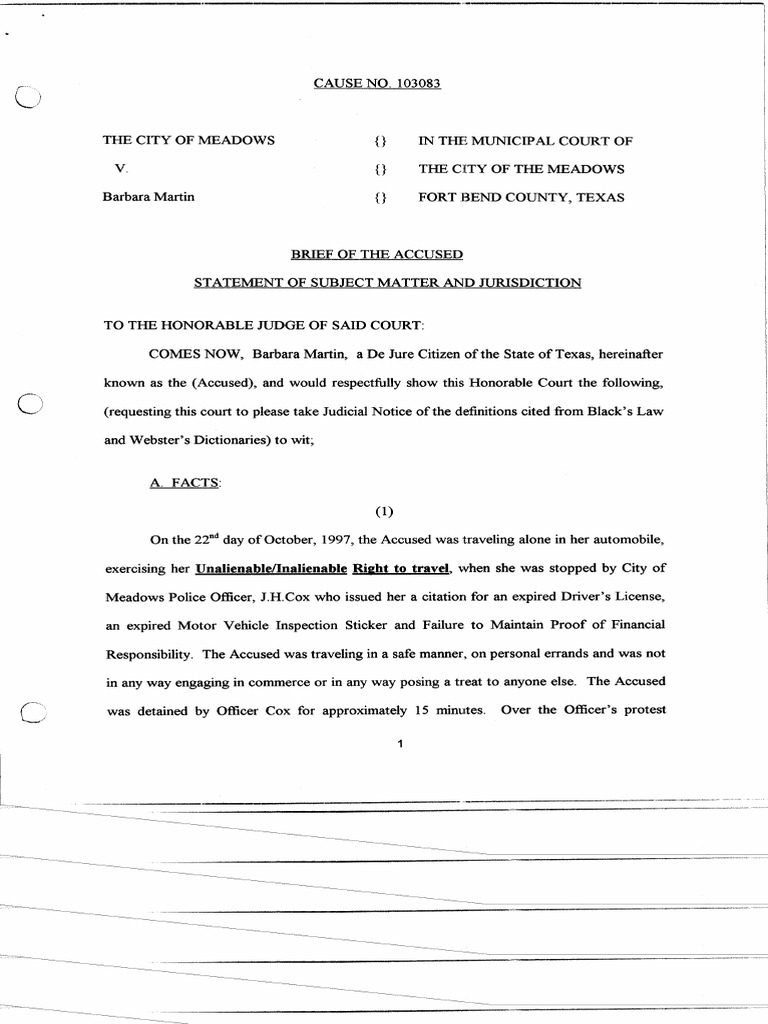 Barbara Martin Vs Meadows Municipal Court Brief | PDF