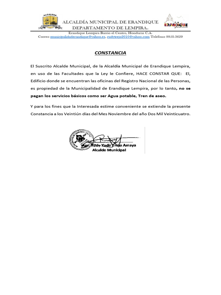 Constancia para El RNP | PDF