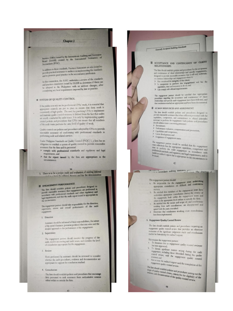 AudTheo1 (Lesson 2 Professional Standards) | PDF