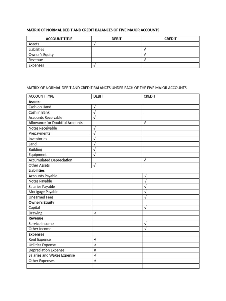 Normal Debit and Credit Balances Guide | PDF