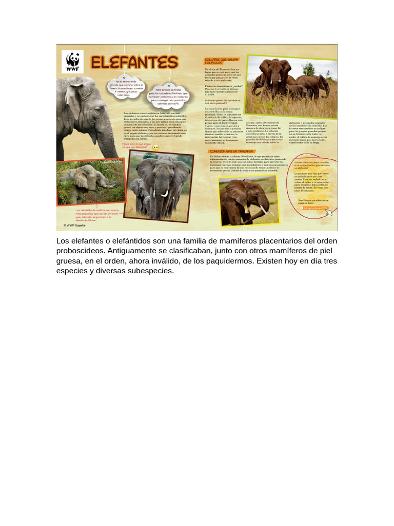 Los Elefantes | PDF
