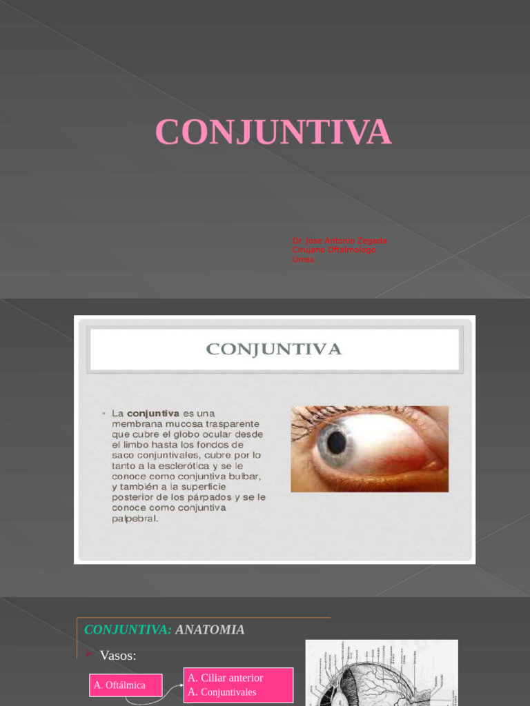 CONJUNTIVA | PDF | Alergia | Neoplasias