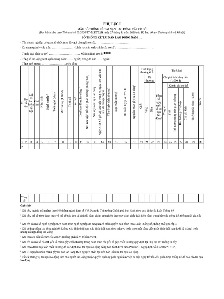 Phu Luc 1 Tai Nan Lao Dong | PDF