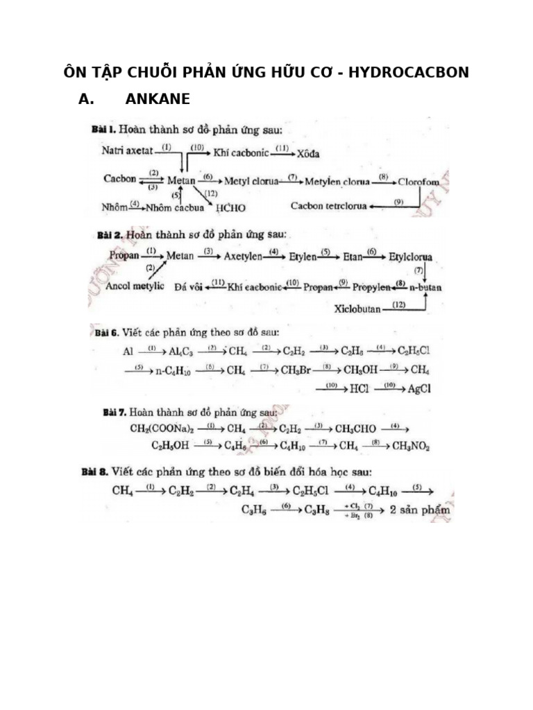 CHU I ANKAN - ANKEN - ANKYL - HA | PDF