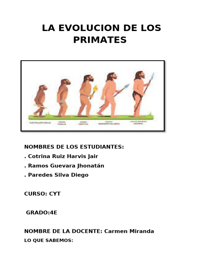 Evolución y Características de Primates | PDF