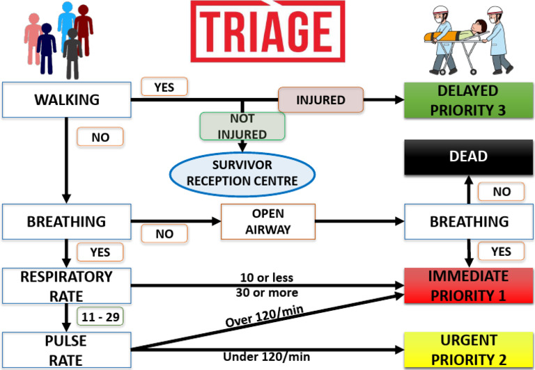 Triage | PDF