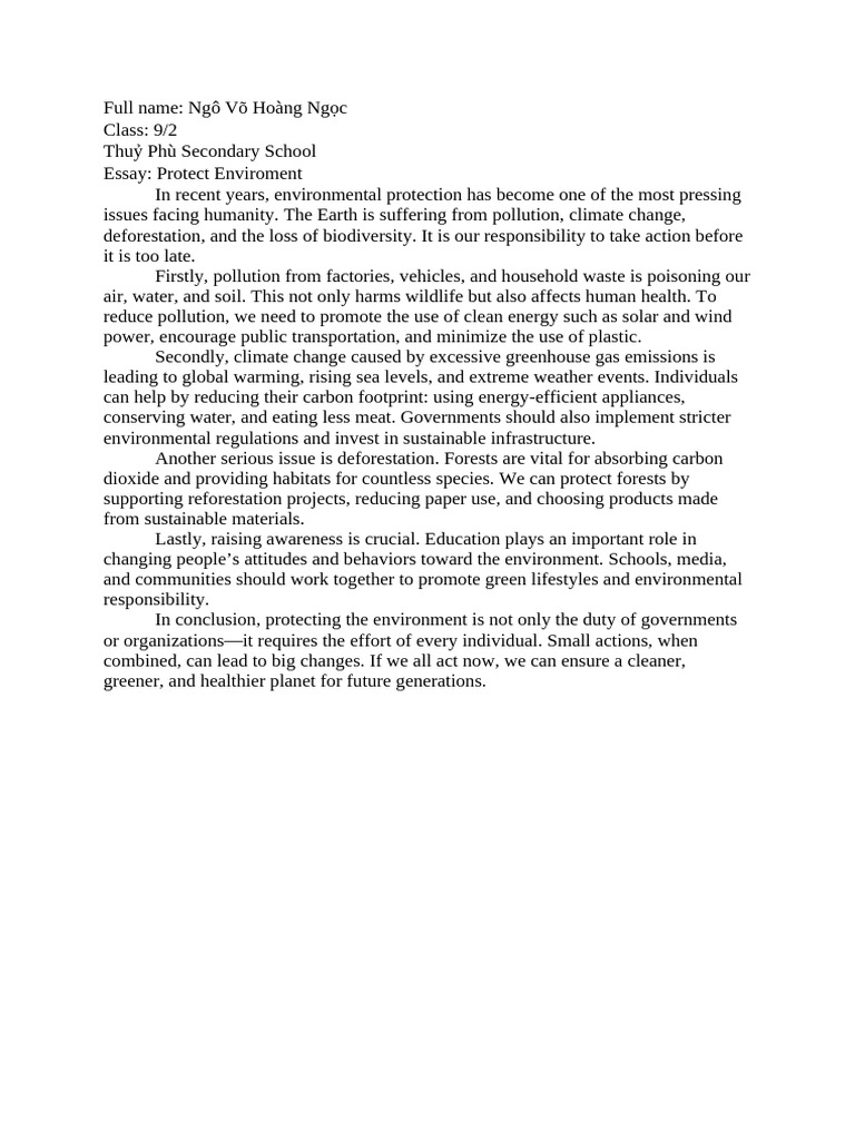Environmental Protection Essay | PDF