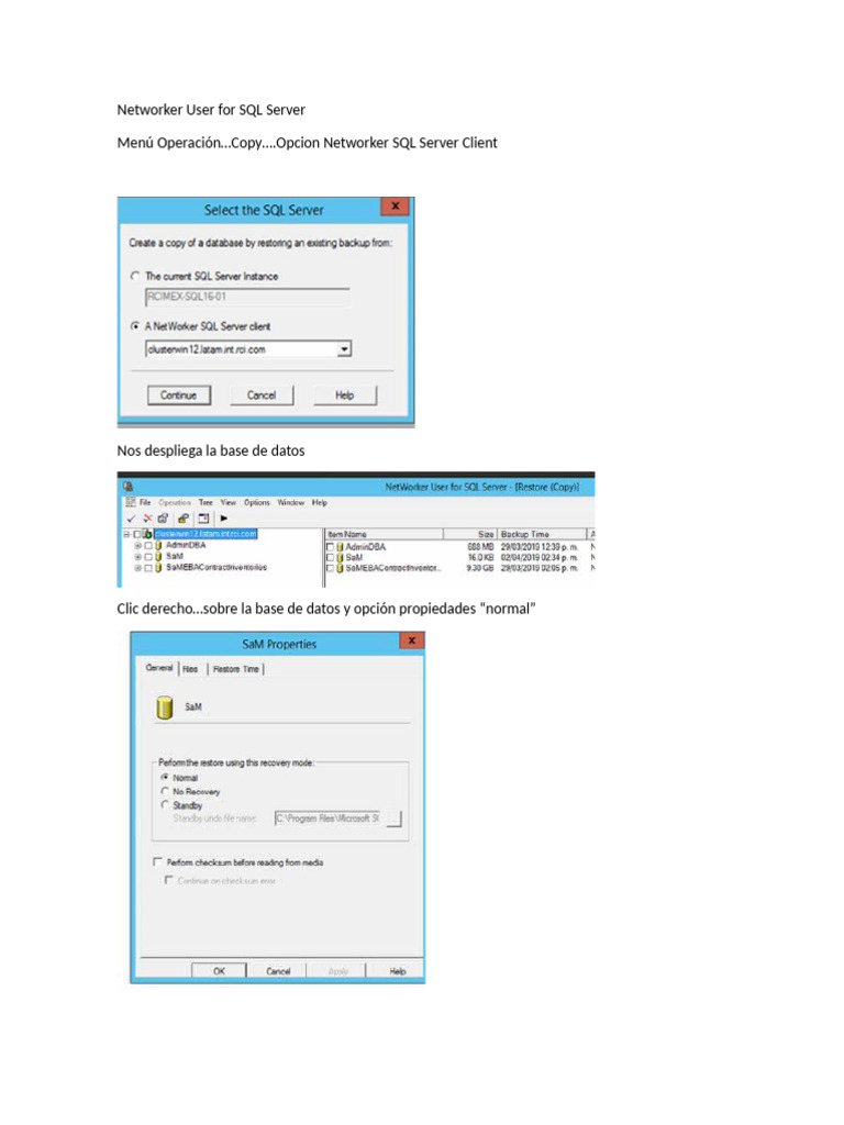 Networker User For SQL Server | PDF