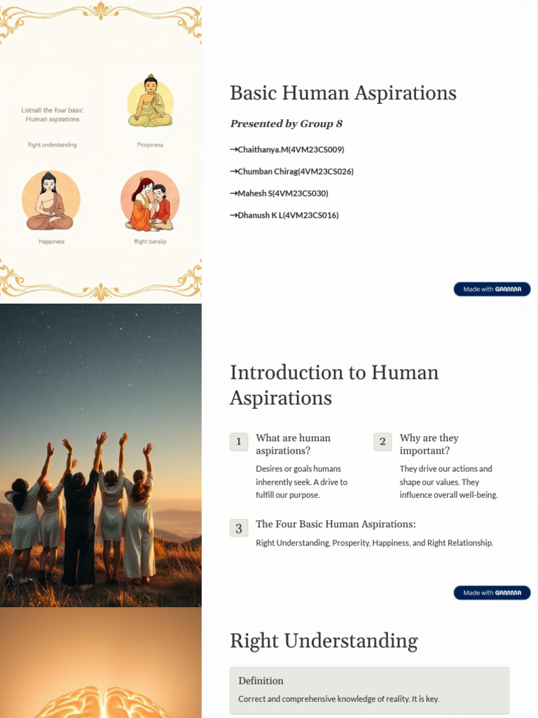 Understanding Basic Human Aspirations | PDF | Happiness | Well Being