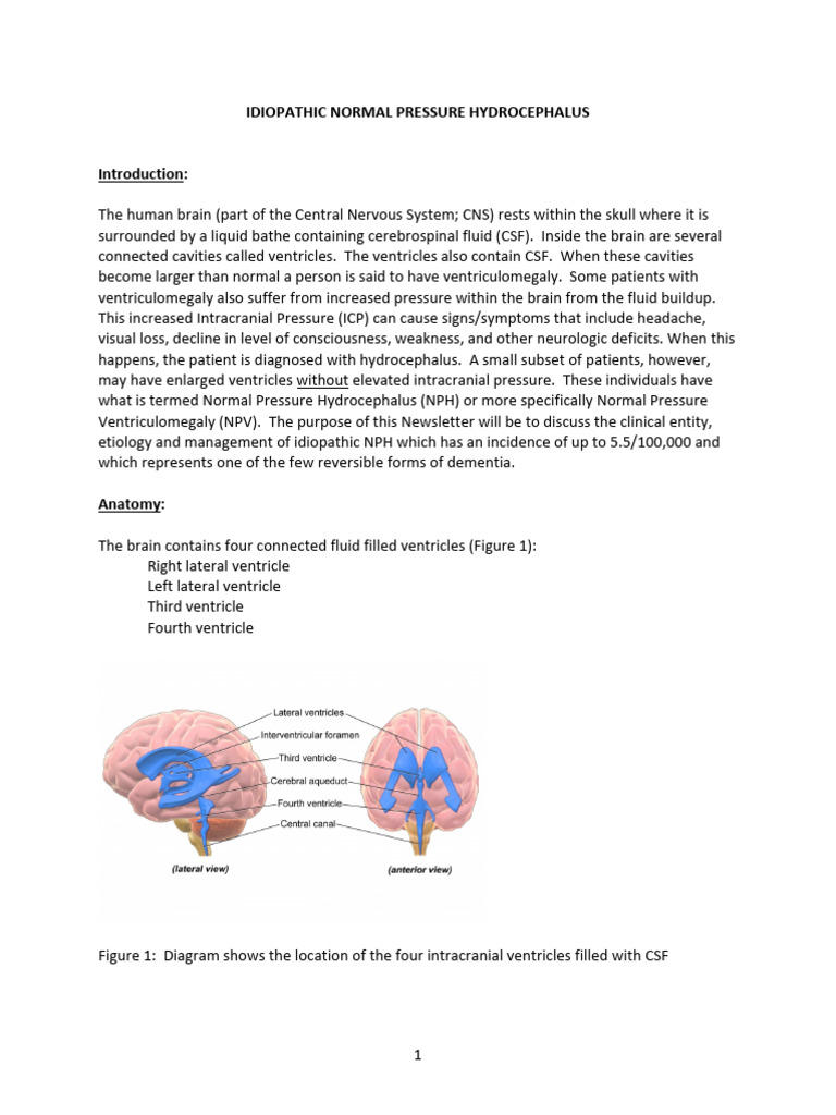 Normal Pressure Hydrocephalus | PDF | Cerebrospinal Fluid | Medical Specialties