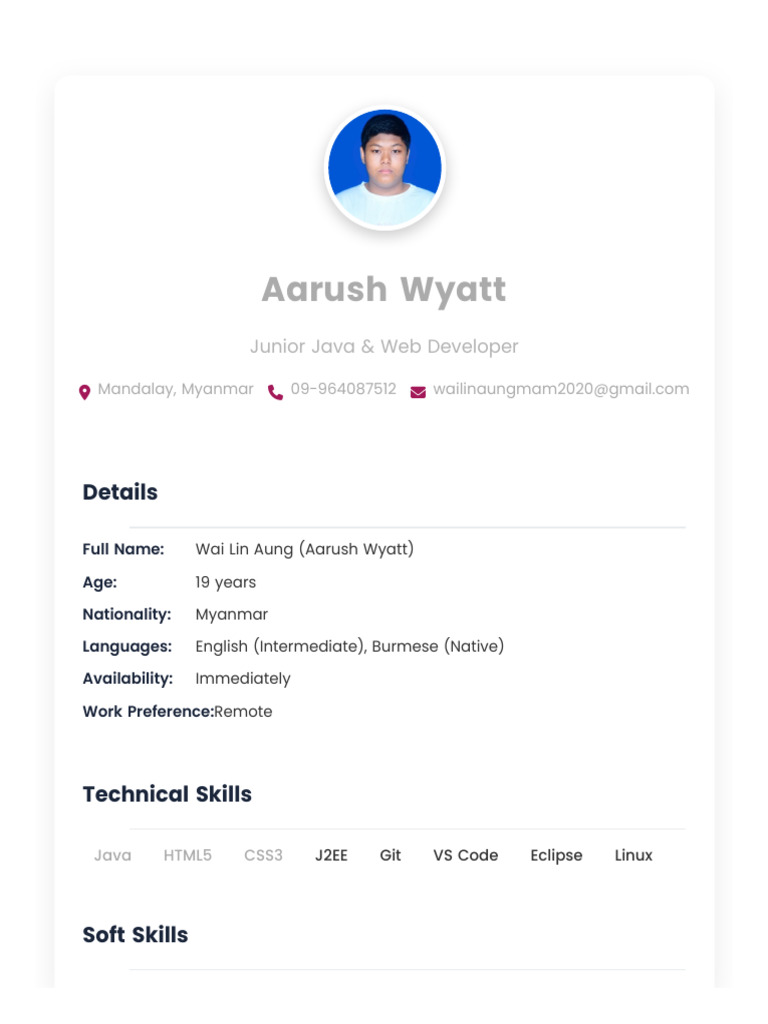 CV - Aarush Wyatt (Wai Lin Aung) | PDF
