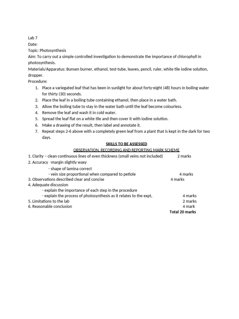 Lab 8 Photosynthesis | PDF