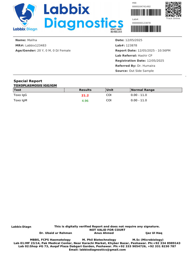 Labbix123483 - Maliha - Laboratory Report | PDF