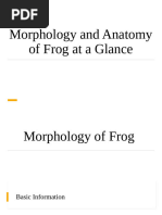 Frog vs Human Organ Systems Explained | PDF | Human Digestive System ...