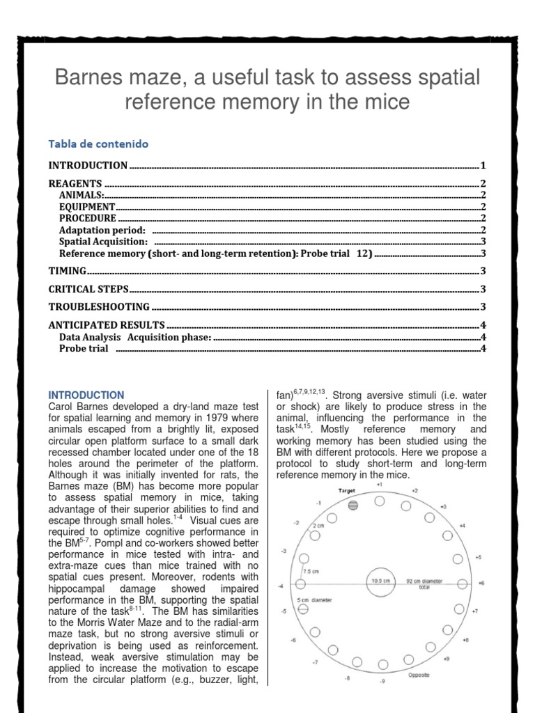 Barnes Maze Protocol for Mice Memory | PDF | Memory | Neuropsychology