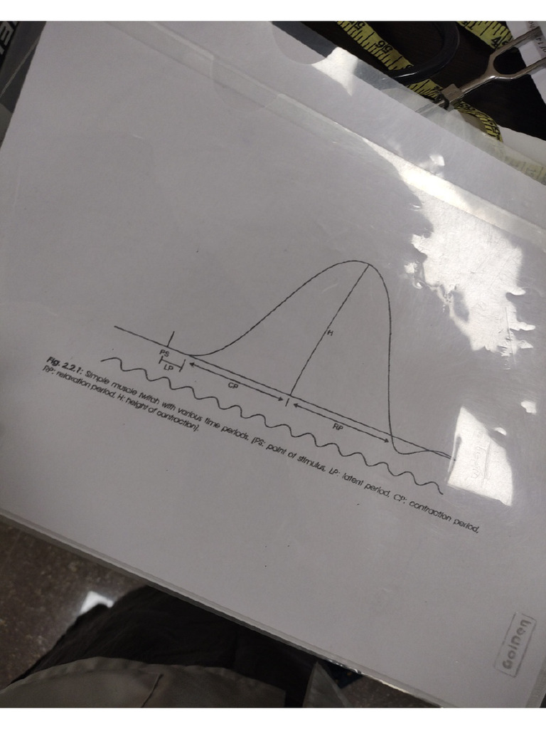 Physio Spotting | PDF