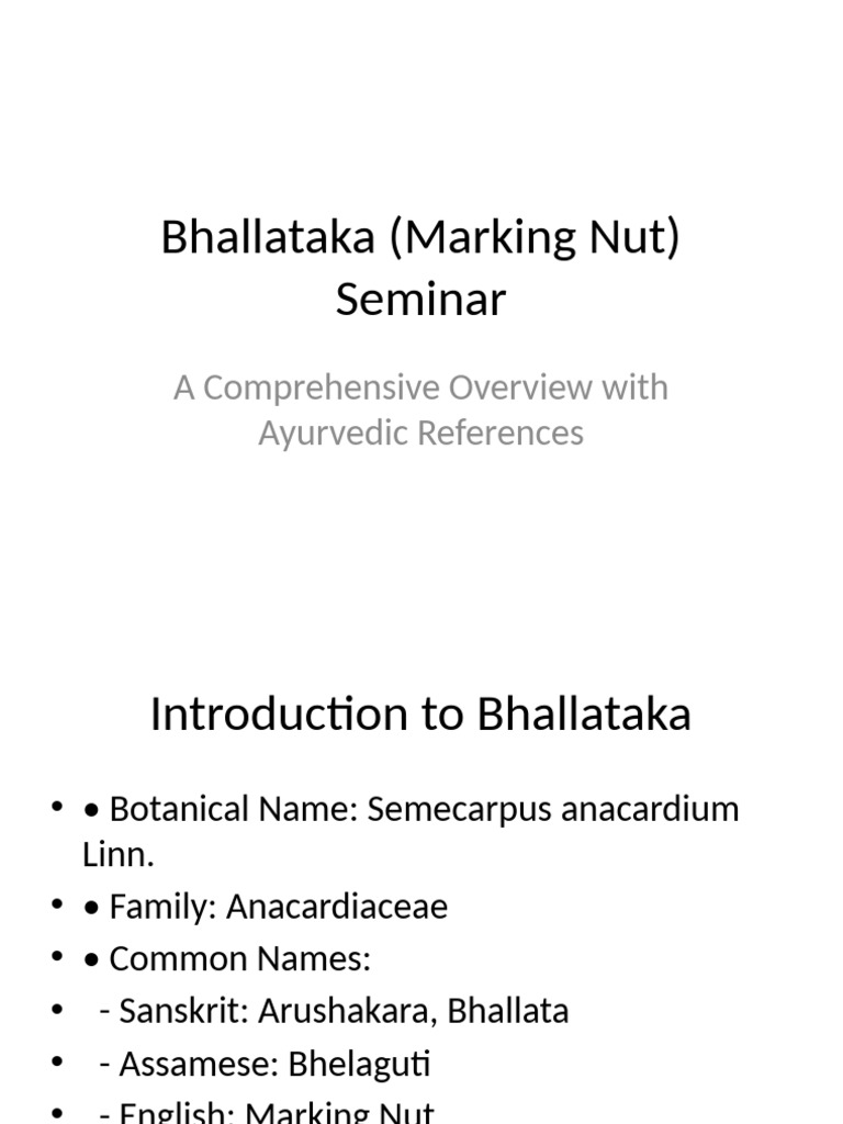 Bhallataka Seminar Presentation | PDF