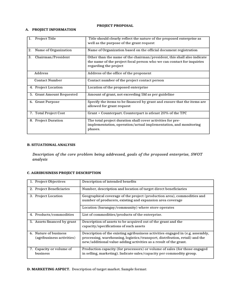 3 - Project Proposal Template | PDF | Expense | Income