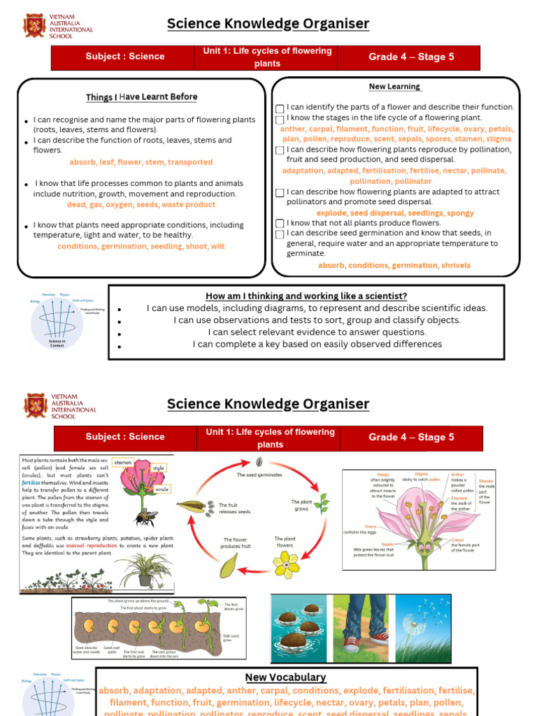 G4 Science Knowledge Organiser Unit 1 Plants | PDF | Flowers | Pollination