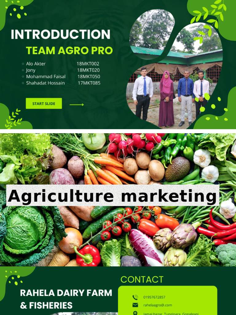 Agribusiness Marketing Strategies | PDF