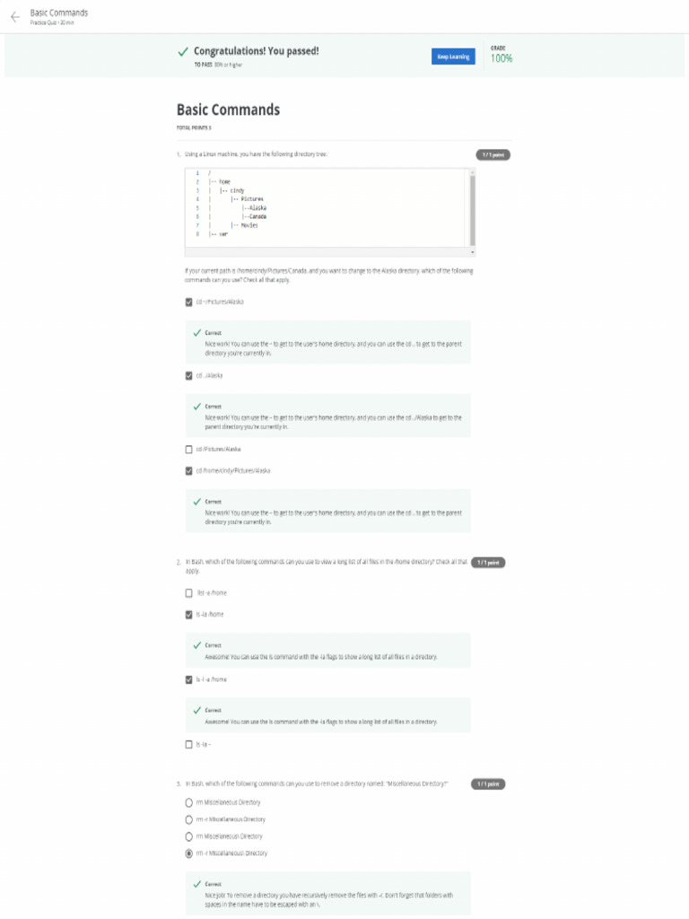 01 - Basic Commands Linux | PDF
