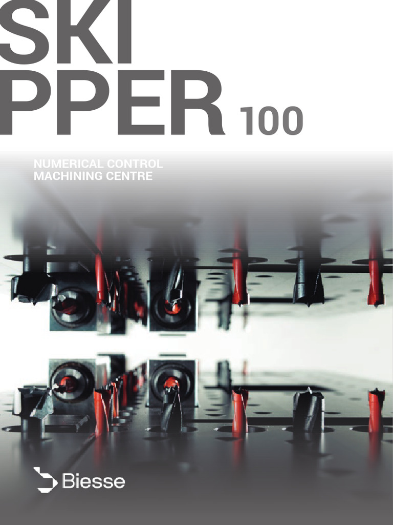 5808A1076 Bs Cat Skipper 100 Mar23 ENG LR | PDF