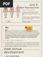 2025 03 13 Lim LFSC GR12 Pre Test MG | PDF | Nucleotides | Biology