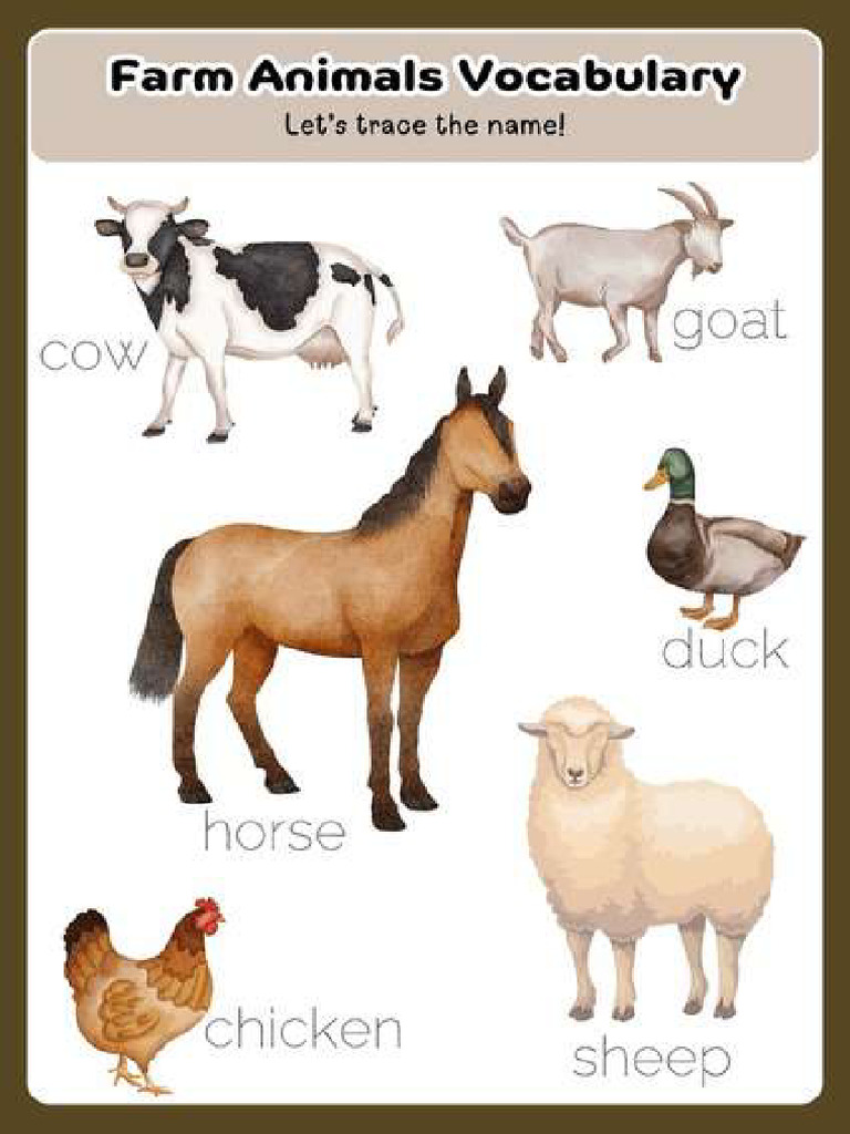 Fun Educational Farm Animal Worksheet 600nw 2585800169 | PDF