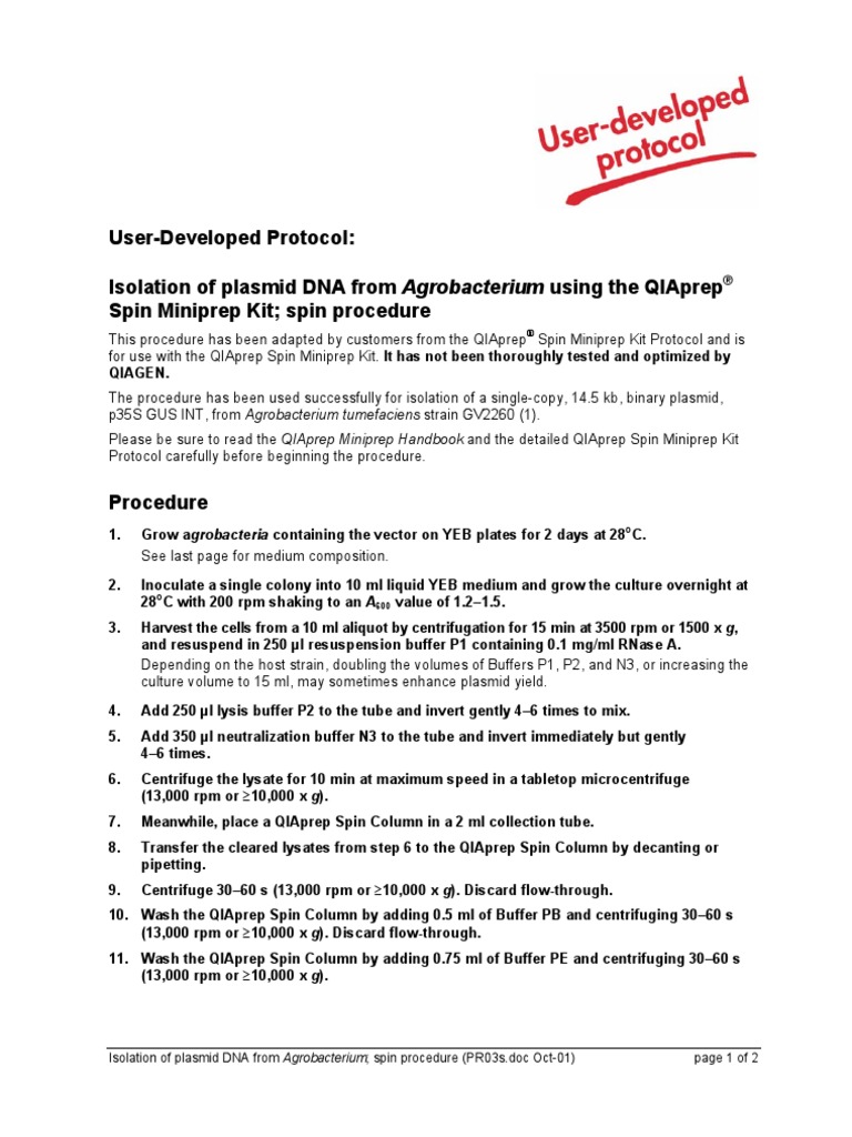 Isolation of Plasmid DNA From Agrobacterium Using The QIAprep® Spin ...