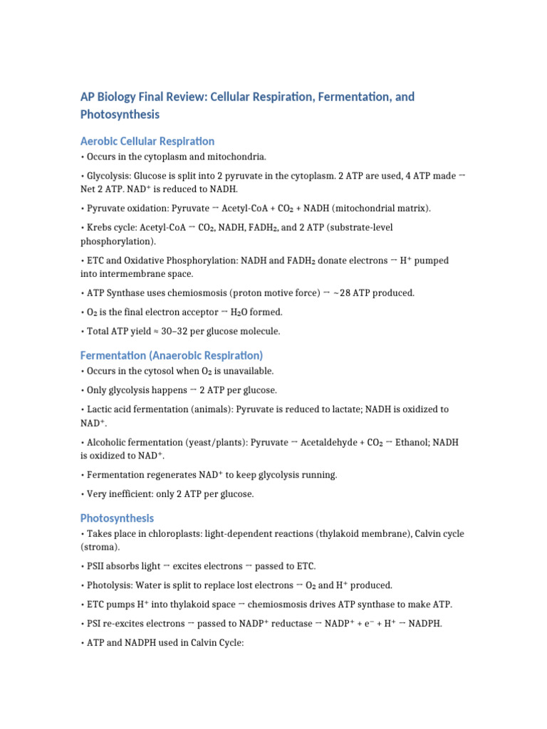AP Bio Final Review Respiration Fermentation Photosynthesis | PDF