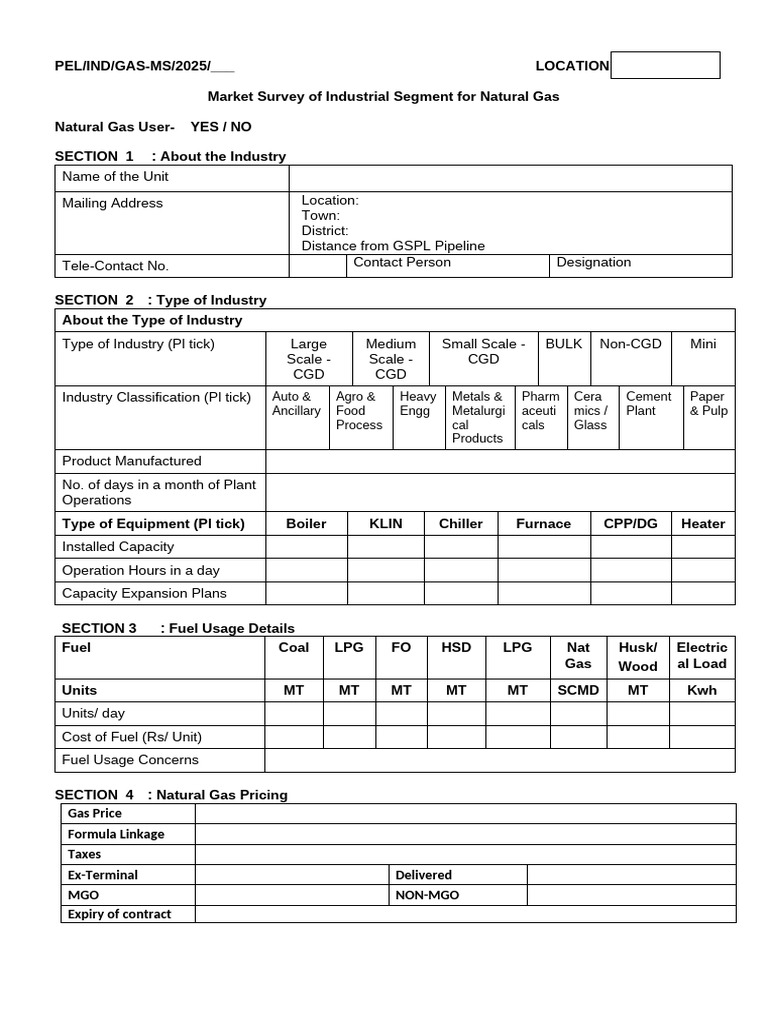 Industrial Natural Gas Market Survey 2025 | PDF