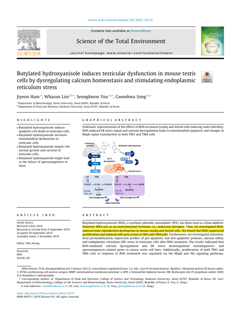BHA Induces Testicular Dysfunction in Mouse Testis | PDF | Testicle ...