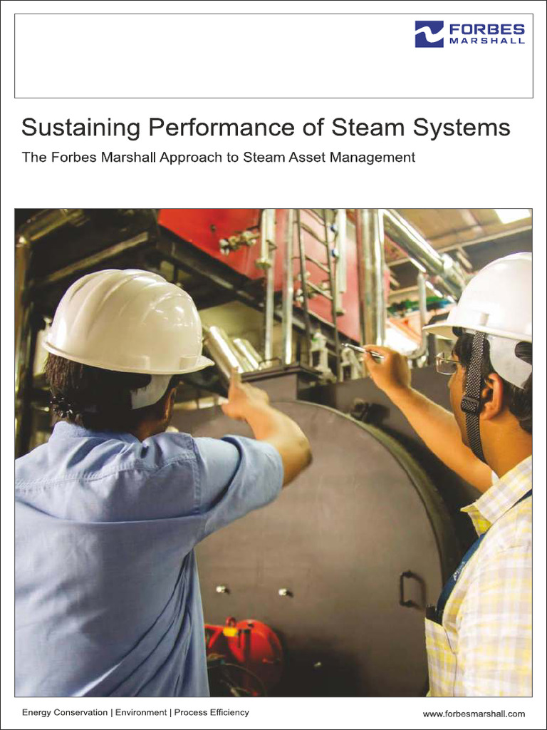 Sustaining Performance of Steam Systems | PDF