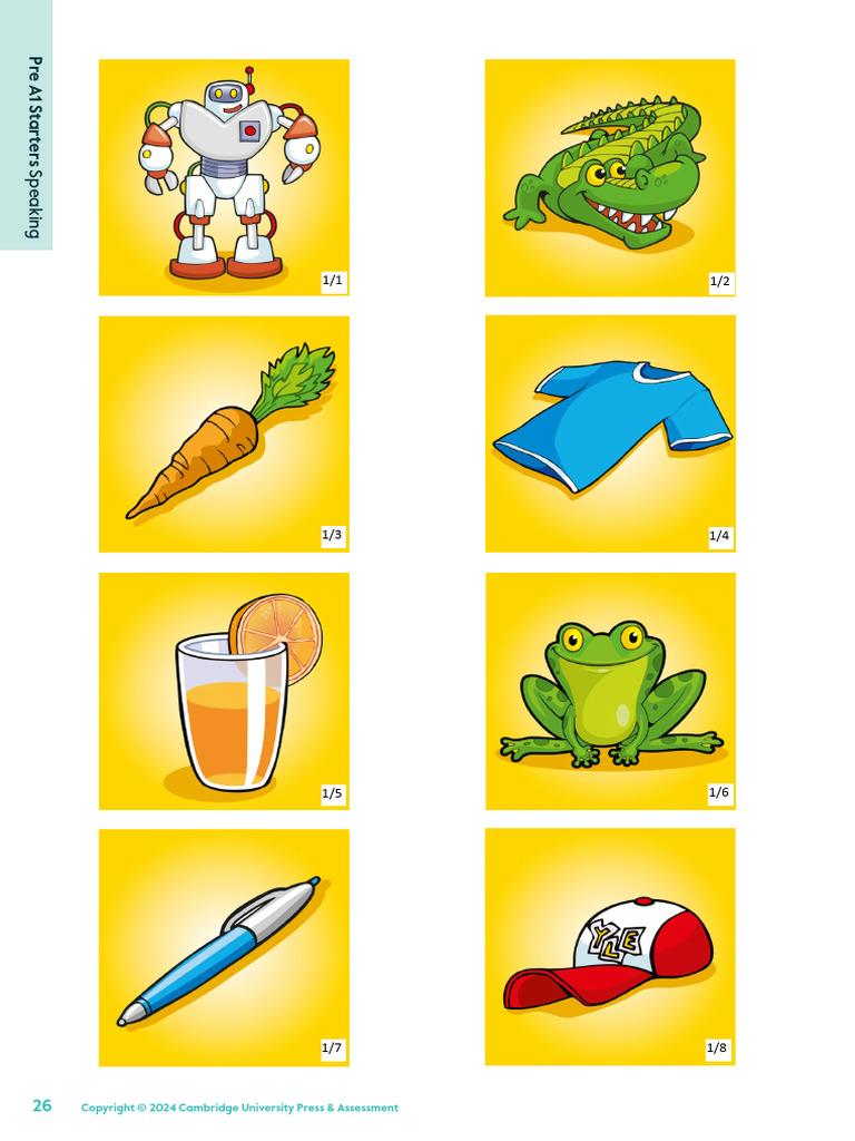 Pre A1 Starters, A1 Movers and A2 Flyers Sample Paper Volume 1 | PDF