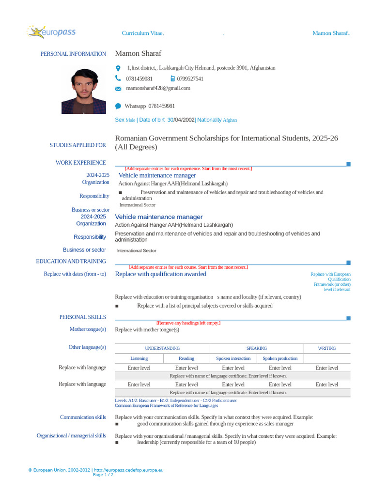 Europass CV Template | PDF