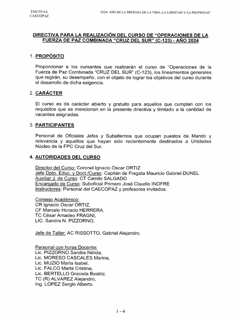 Directiva Cruz Del Sur c123 | PDF