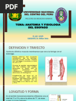 ESÒFAGO (Anatomía, Embriología, Histología y Fisiología) | PDF ...