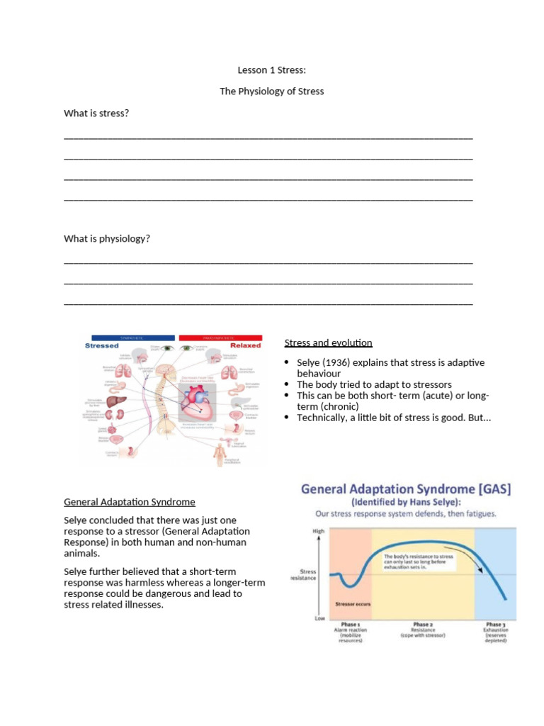 Lesson 1 The Physiology of Stress | PDF | Stress (Biology) | Adrenal Gland