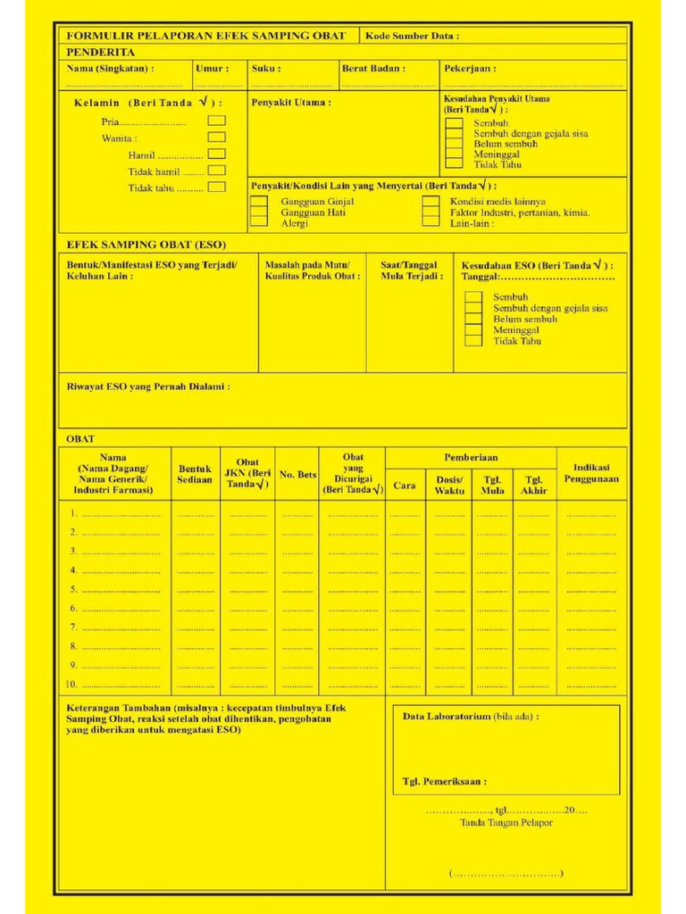 Formulir Pelaporan Meso | PDF