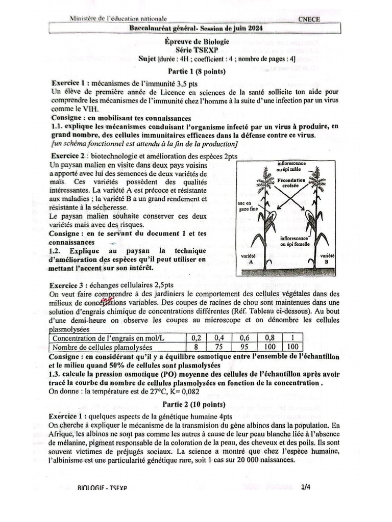 BK Bac Biologie Tsexp 2024 | PDF
