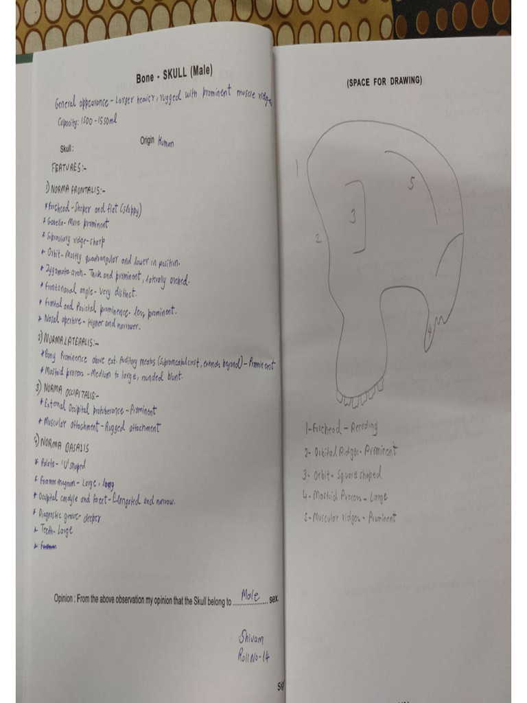 Mera FMT File 2nd Int | PDF