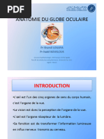 SCLERE Anatomie | PDF | Cornée | Anatomie