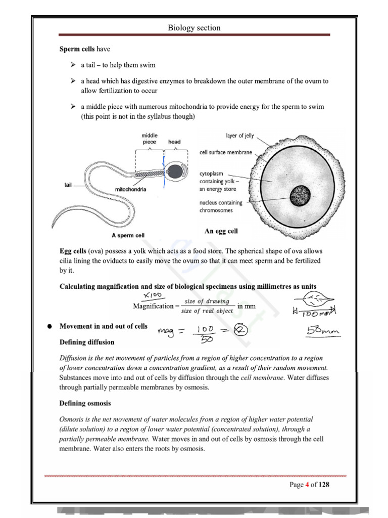 Biological Molecules Notes | PDF