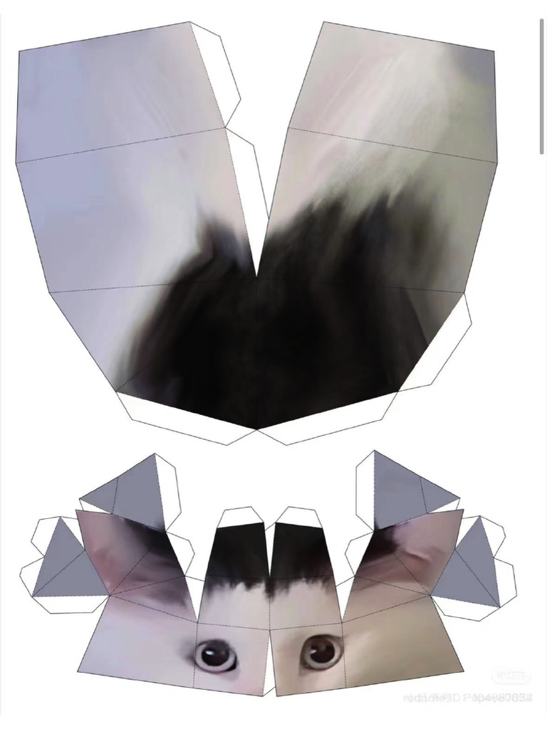 Huh Cat | PDF