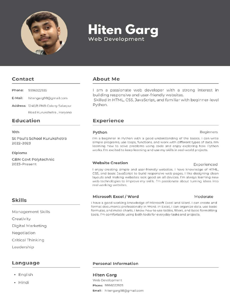 Professional CV Resume | PDF