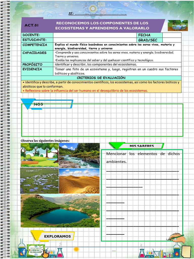 Ficha de Actividad S1 (U4) (1° Grado) - CyT | PDF | Ecosistema | Ecología